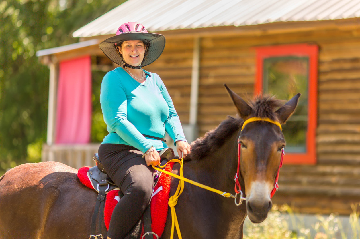 Horses | Becky's Homestead