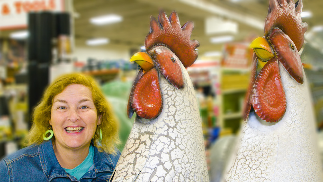 Chickens | Becky's Homestead